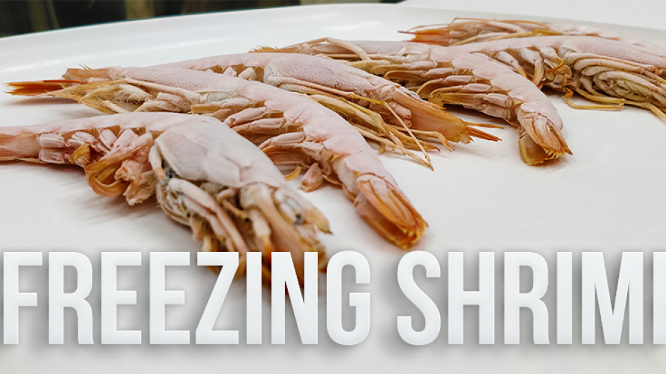 Freezing Shrimp | Flash Freeze