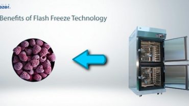 IQF: What is IQF and how does it work | Flash Freeze